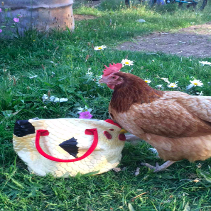 37 Strange Gifts That'll Make Them Say, "This Is So Weird, I Love It!"