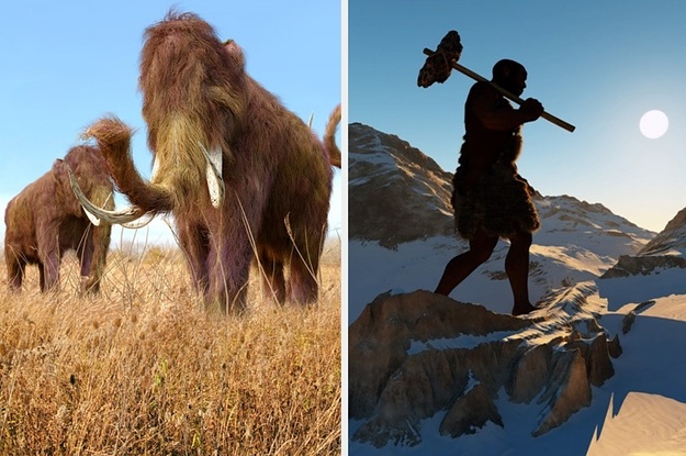 What Would Have Been Your Role In The Caveman Era?