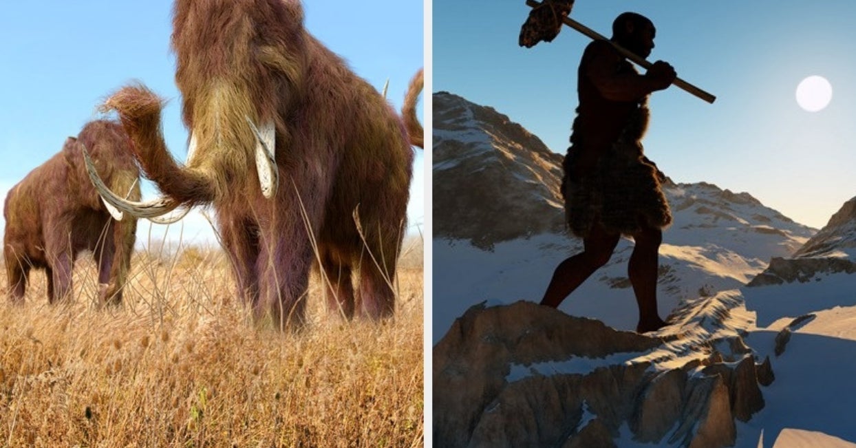 What Would Have Been Your Role In The Caveman Era?