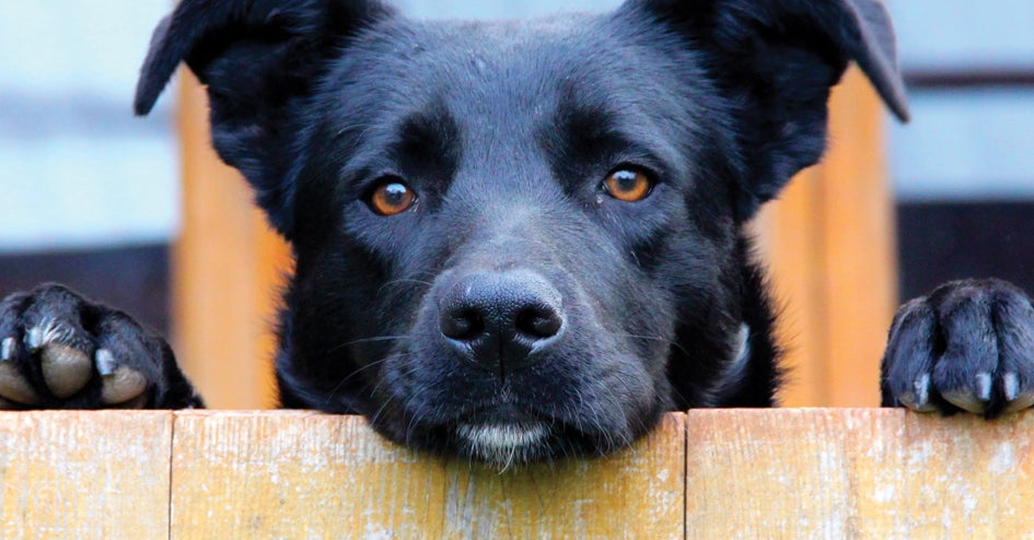 9 Awesome Stories That Will Make You Want To Hug Your Neighbor