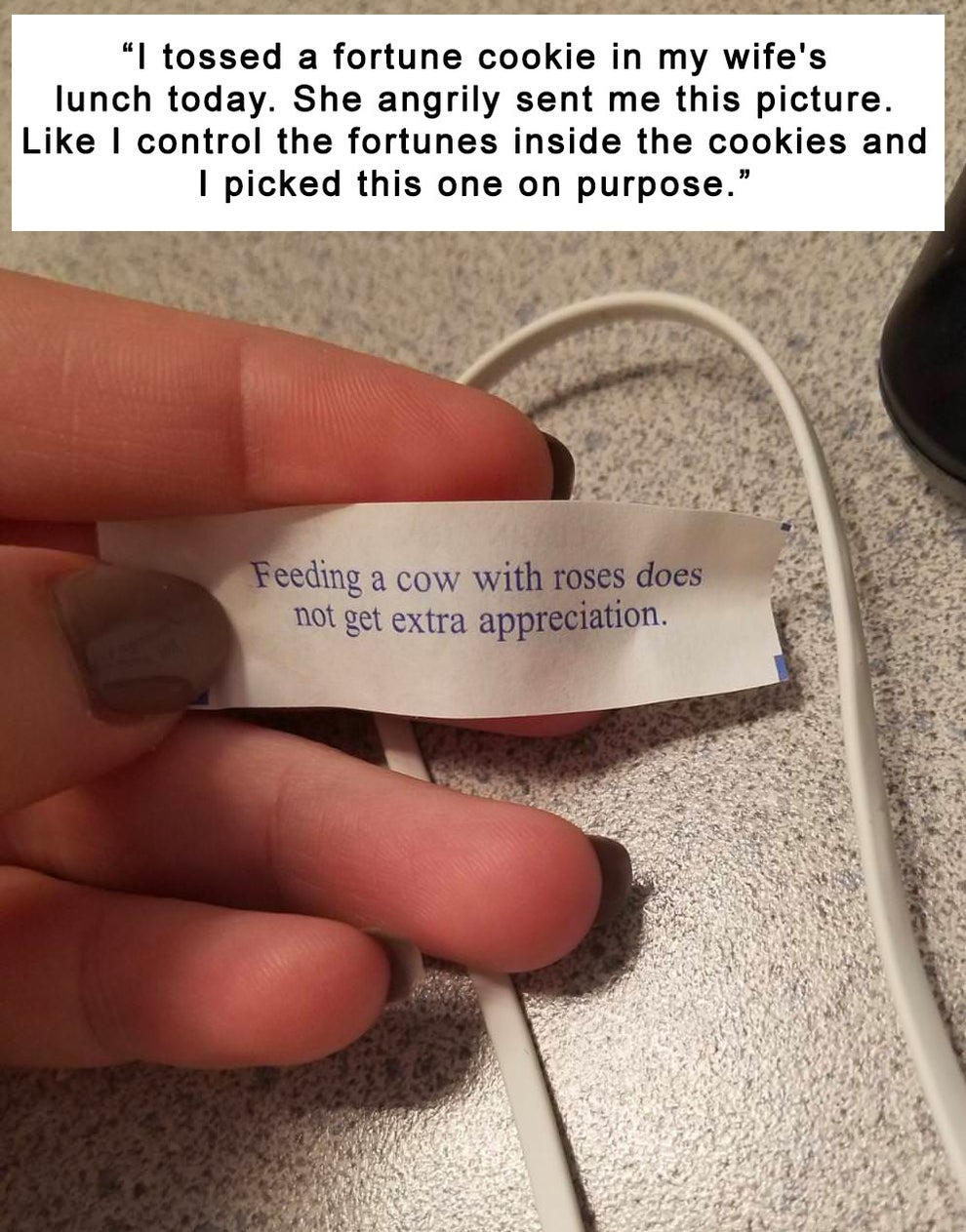 41 Hilarious Fortune Cookies That Are Doing Too Much