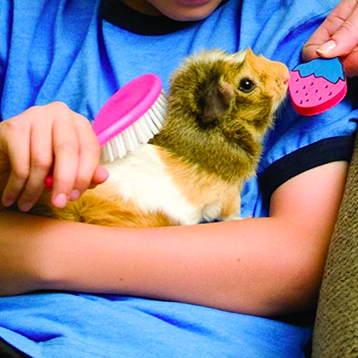 29 Products That’ll Help Make Grooming Your Pet So Much Easier