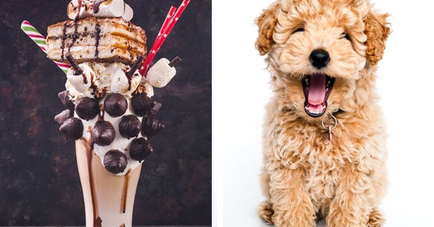 Build A Milkshake In 6 Steps And We’ll Tell You Which Animal You Are