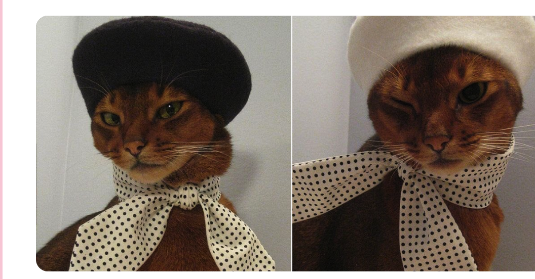 What Are Your Tips For Traveling To Paris, France?