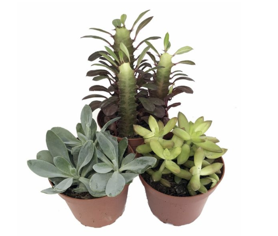 20 Pieces Of Decor From Jet You Won't Believe Are Under $30