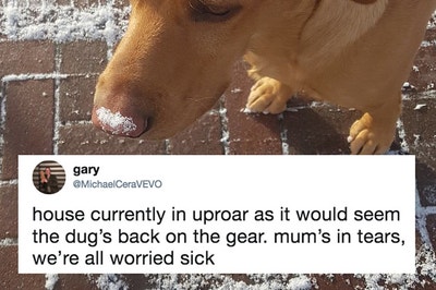 Best Tweets, Memes, and Jokes of 2018 - BuzzFeed