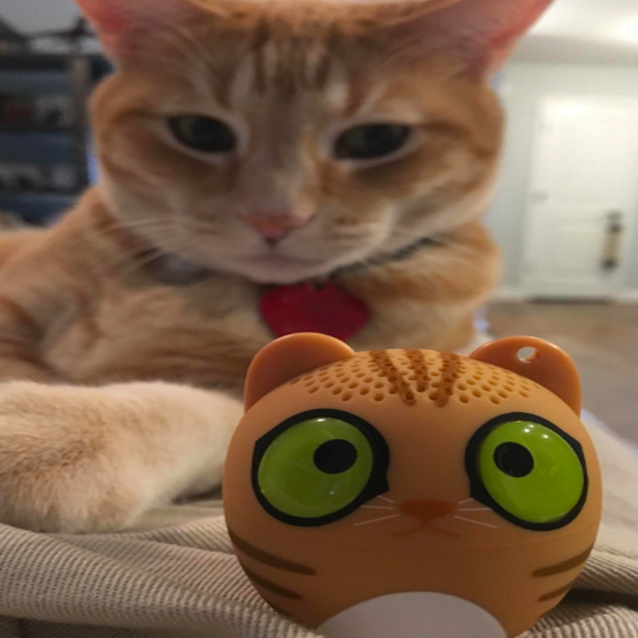 31 Things Guaranteed To Make You Say "OMG"