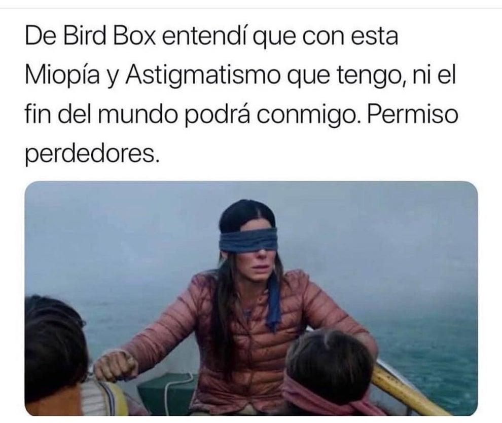 21 Memes de 'Bird Box' tan buenos que hasta te quitarías la venda para ...