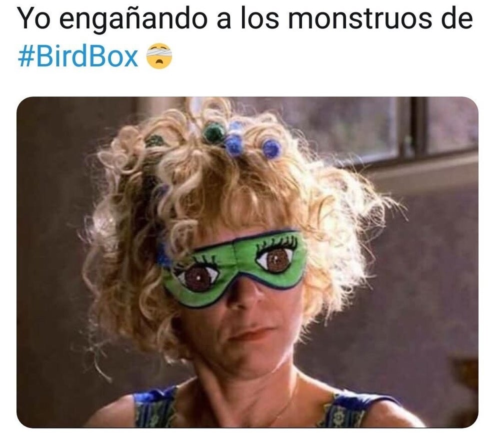 21 Memes de 'Bird Box' tan buenos que hasta te quitarías la venda para ...