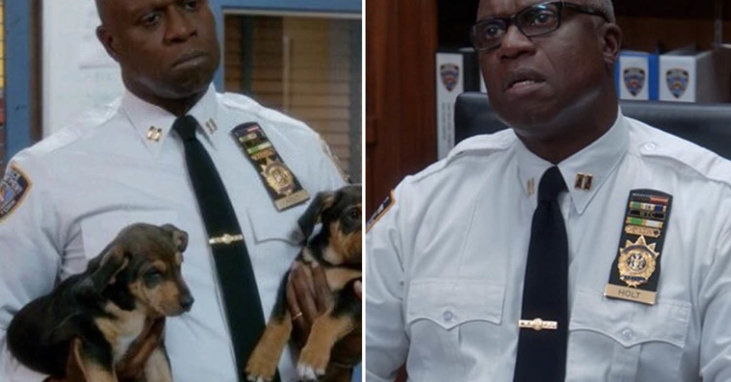 Raymond Holt Of "Brooklyn Nine-Nine" Is The Only TV Character That ...