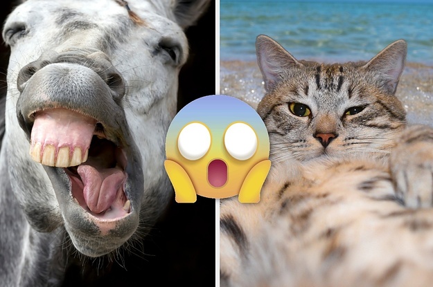 How Many Of These Embarrassing, Cringey, And Plain Funny Photos Do You ...