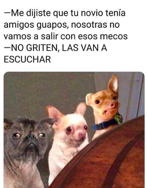 19 Memes que apreciarás si ya perdiste la fe en el amor, la amistad y ...