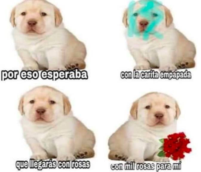 19 Memes que apreciarás si ya perdiste la fe en el amor, la amistad y ...