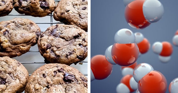 What Structure Of DNA Are You Based On Your Taste In Food?