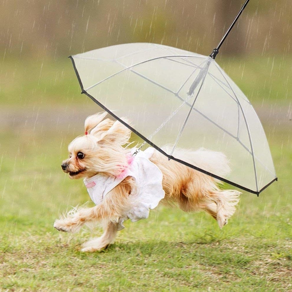 27 Gimmicky-Seeming Products That Actually Work