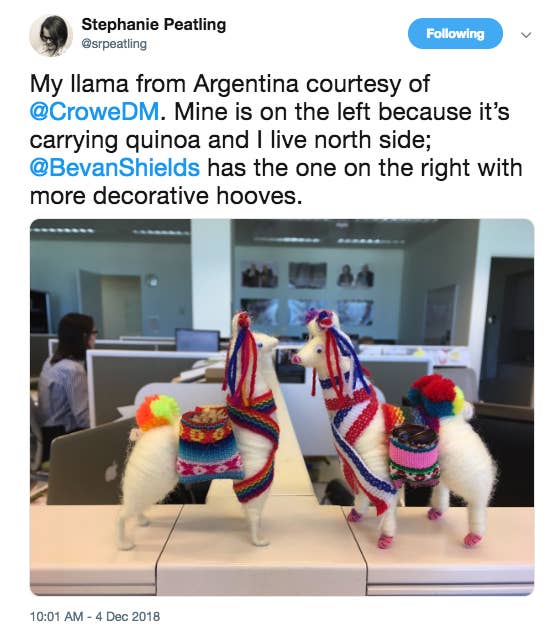 Buzzfeed Llama Memes Say It, Don't Spray It! | Facebook
