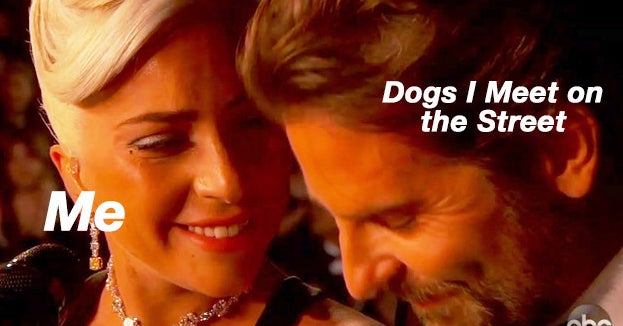 The 14 Funniest Memes From This Month — February 2019