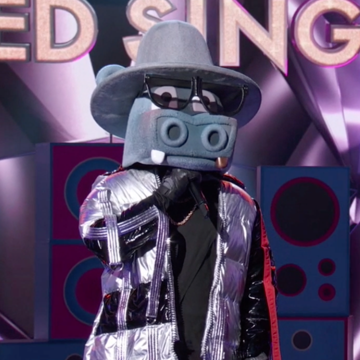 Unmasked Celebrities From "The Masked Singer"