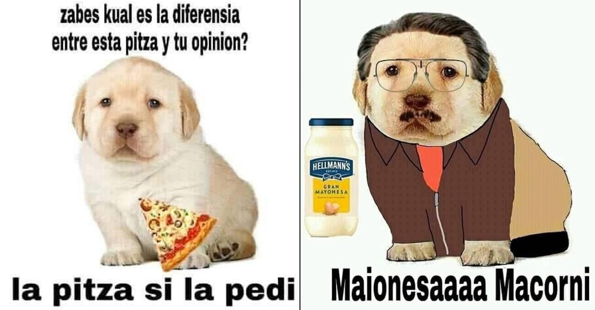 Perritos Tiernos Memes