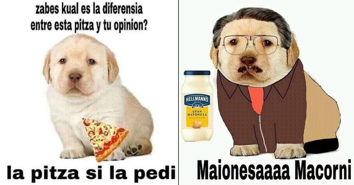 25 Memes del perrito tierno que son, efectivamente, muy tiernos