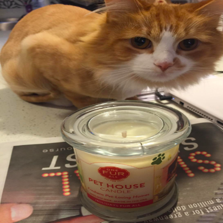 14 Candles You Can Get On Amazon That People Actually Swear By