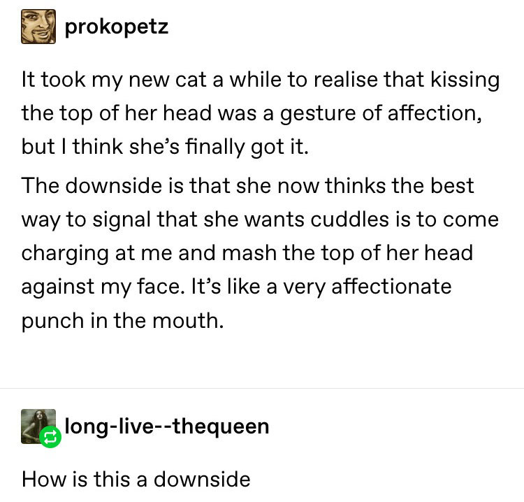 The Best Tumblr Posts From The Week Of March 18, 2019