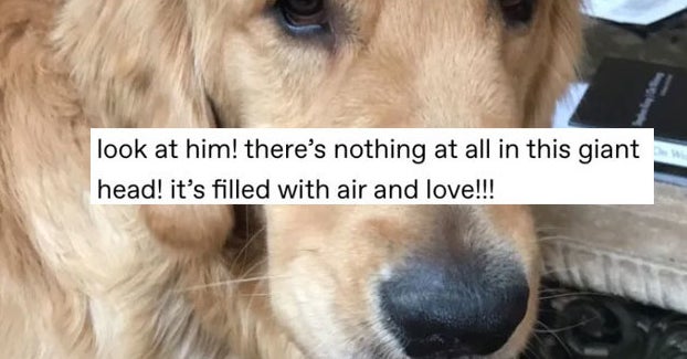 The Best Tumblr Posts I Saw For The Week Of March 25, 2019