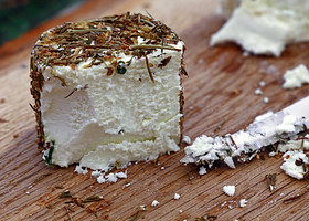 Which Cheese Do You Prefer?