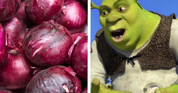 Your "Shrek" Preferences Will Reveal Which Type Of Onion You're Most Like