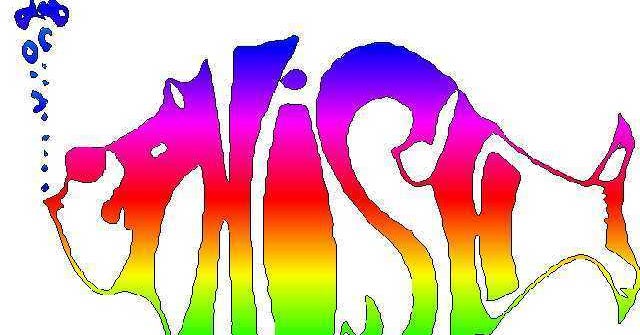 Quiz: How Many Phish Songs Can You Name?