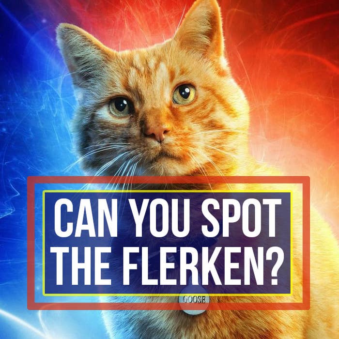 This "Spot The Flerken" Quiz Is Virtually Impossible