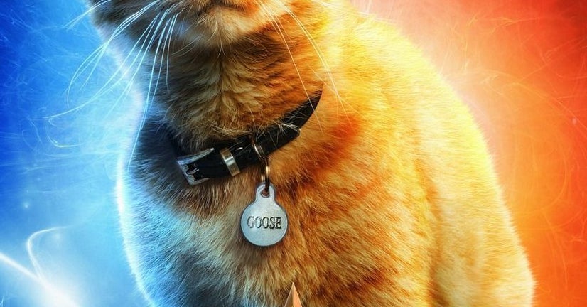 This "Spot The Flerken" Quiz Is Virtually Impossible