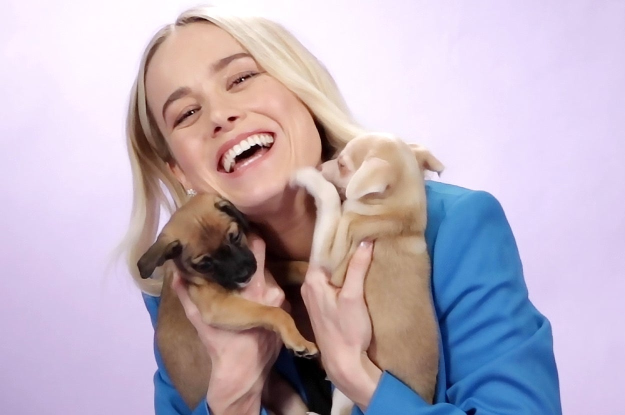 Puppy Interview