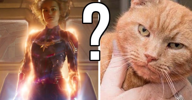 15 "Captain Marvel" Spoilers With No Context That'll Make You LOL If ...