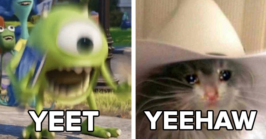 Quiz: Will You Yeet Or Yeehaw Today?