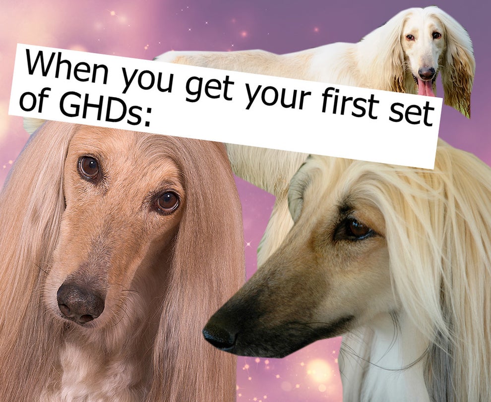 100 Weird, Random, And Slightly Messed-Up Things I've Photoshopped