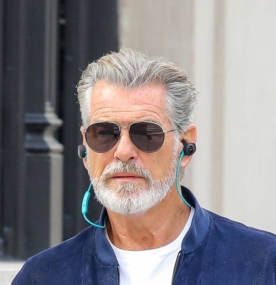 Silver Fox Man Beard