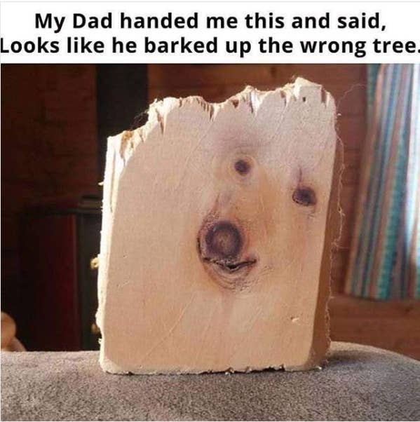 17 Dads Who Will Make You Go, "Why Are Dads Like This?!"