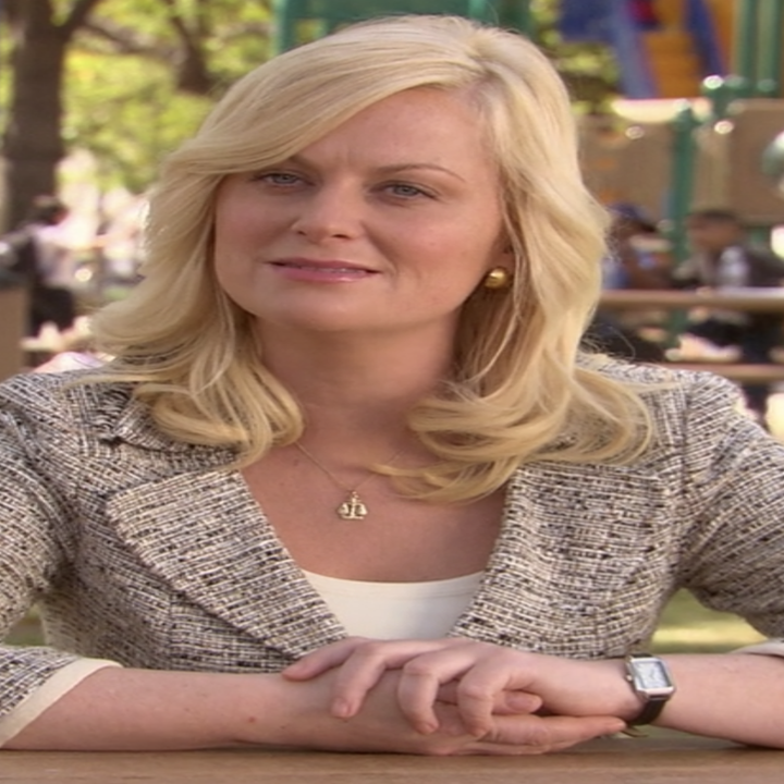 "Parks And Rec" Cast In Their First Episode Vs. Now