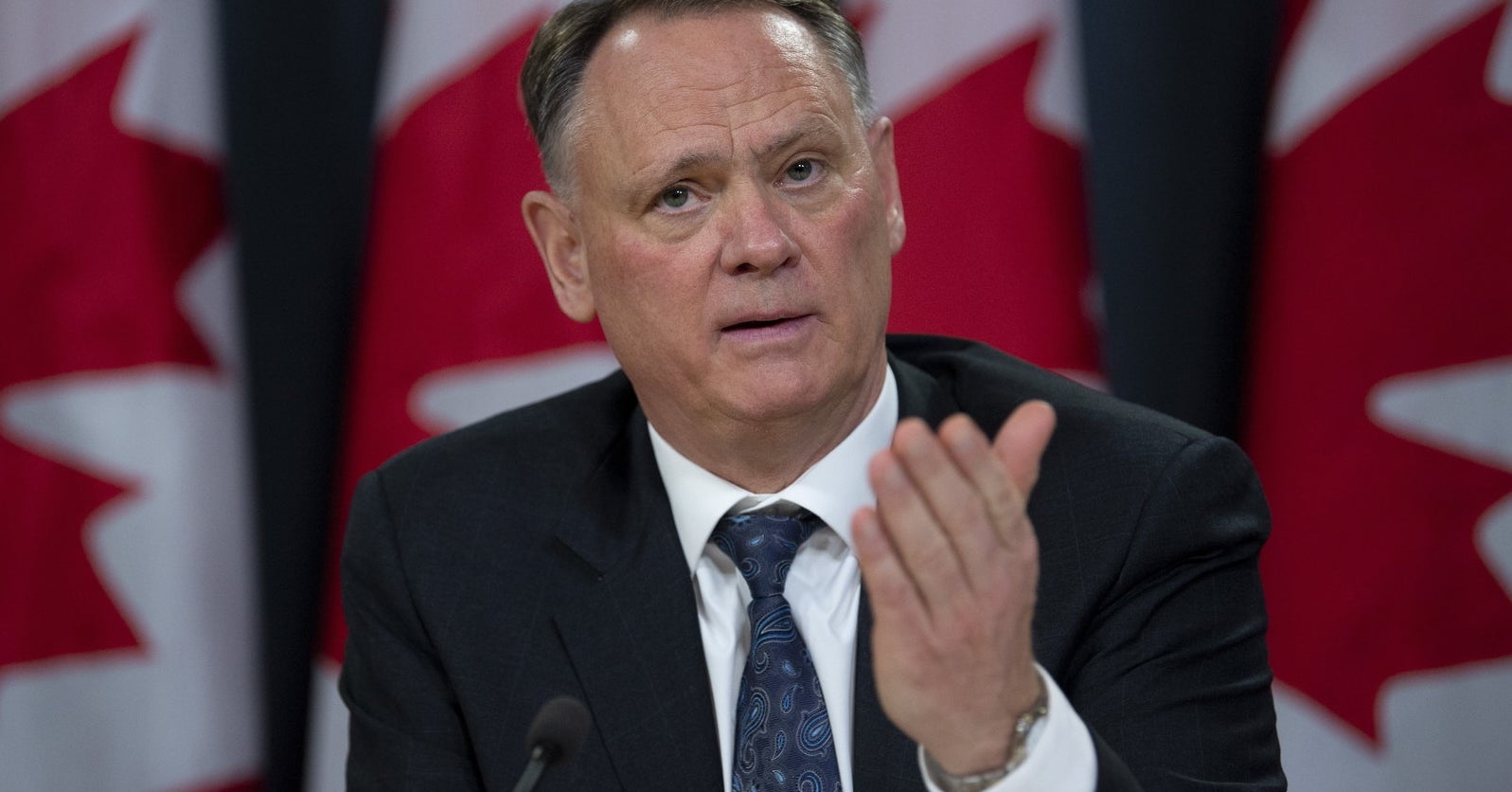 A Canadian Government Committee Is Investigating Foreign Interference ...