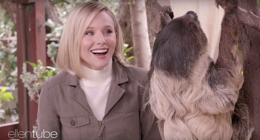 Kristen Bell Told Us She Doesn't Cry When She Sees Sloths Anymore And ...