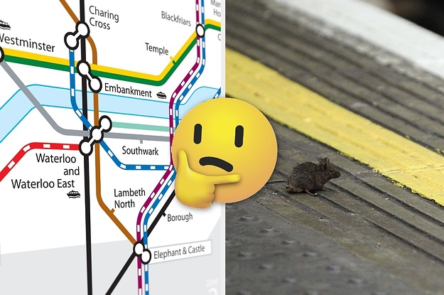 Everyone Has A Tube Line That Matches Their Personality — Here's Yours