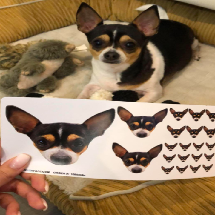 21 Of The Cutest Stickers You Can Get On Amazon