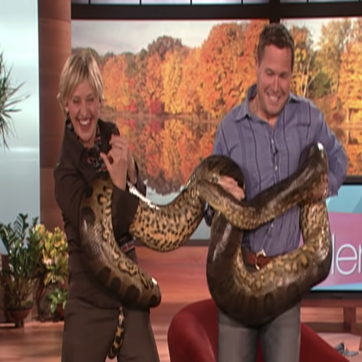 15 Awkward "Ellen Show" Moments That Will Make You Cringe