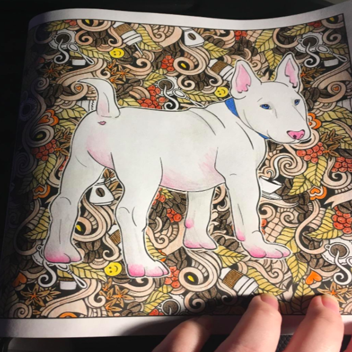 20 Hilarious Coloring Books That'll Definitely Help You De-Stress
