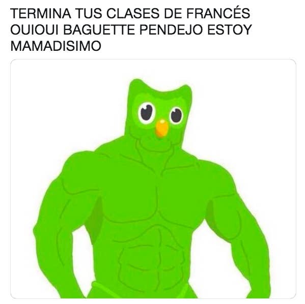 17 Memes que están mamadísimos HDSPTM