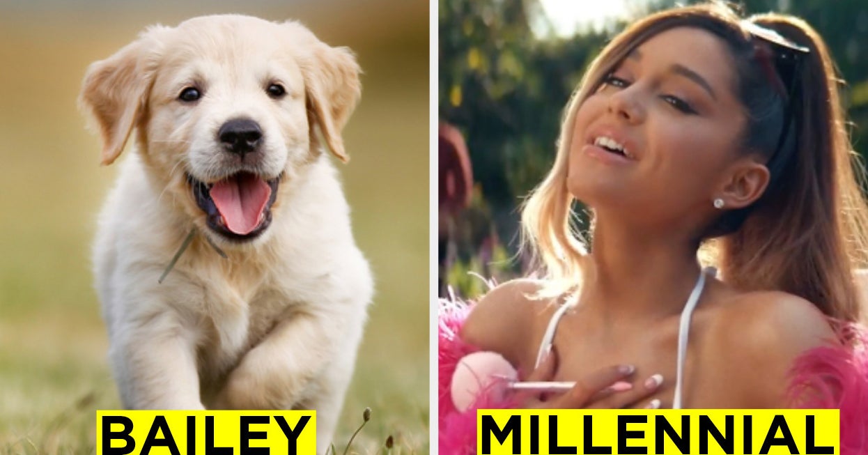 Pick Some Dog Names And We'll Guess If You're A Millennial Or Gen Z'er