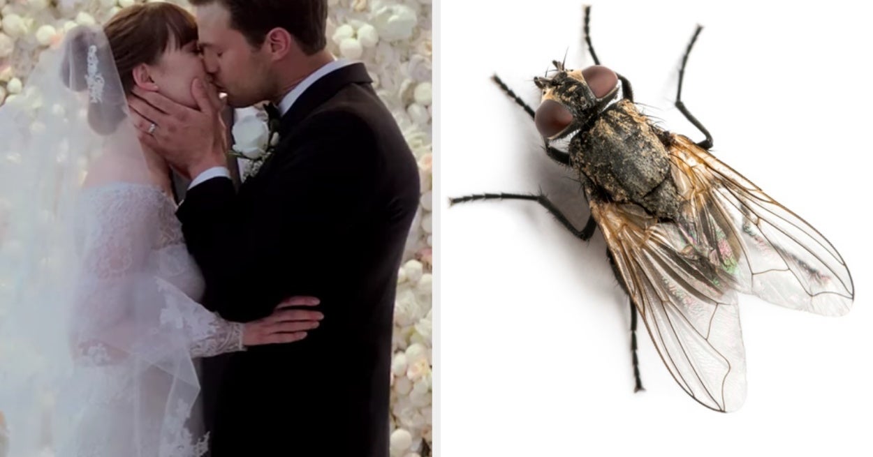 Plan The Perfect Wedding And We'll Reveal Which Household Pest You Are