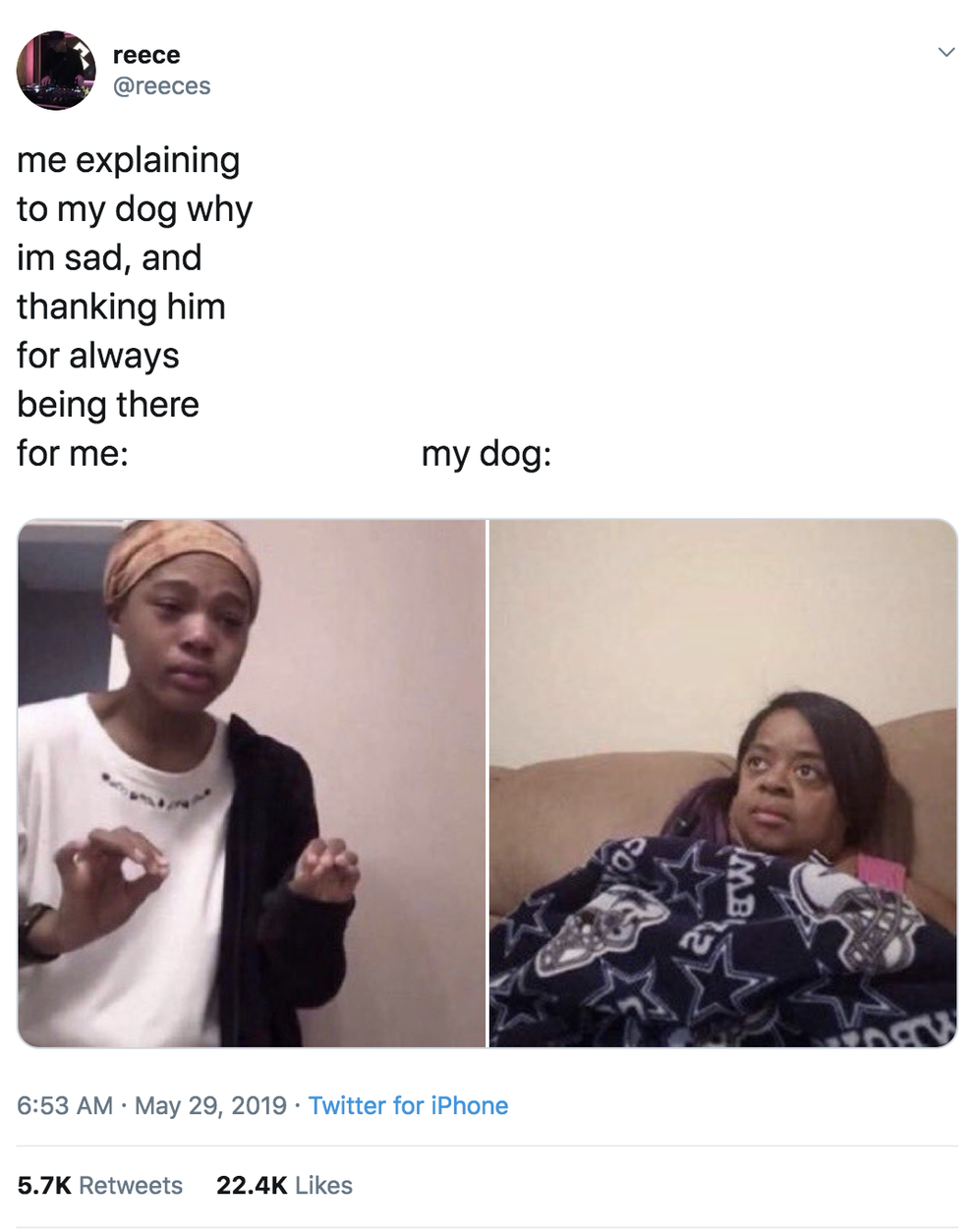The "Me Explaining" Meme Is The Funniest Meme I've Seen In A Long Time