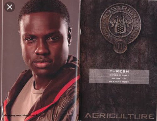 Hunger Games District 11 Tributes